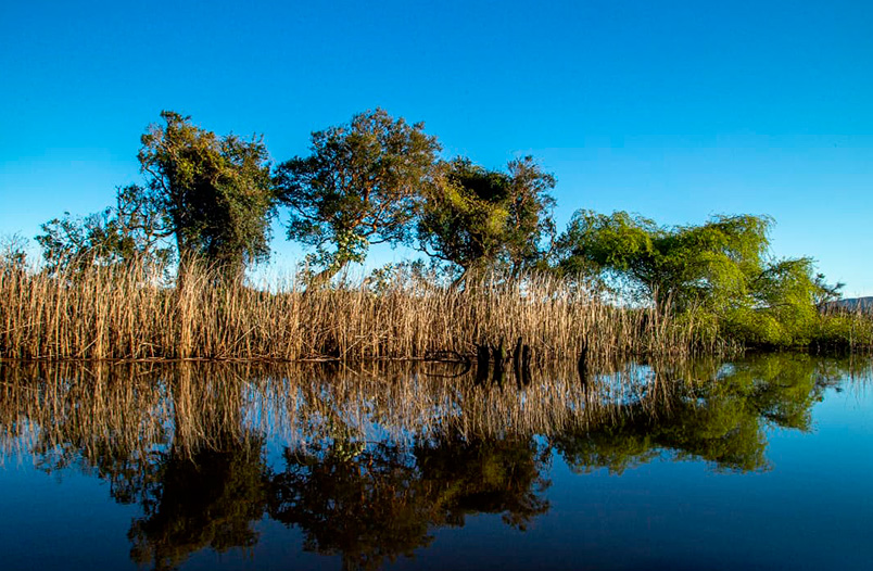 Advierten que más del 35% de los humedales del mundo desaparecieron en ...